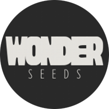 Wonder Seeds - Official Links & Social Media | atom.bio