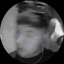 Draco Draco Atom Bio Website