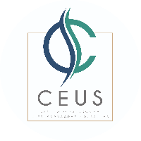 Curso CEUS - Curso de Ultrassonografia Vascular com Doppler (@curso ...