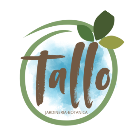 Tallo - Sitio Web Oficial, Tienda y Enlaces | atom.bio