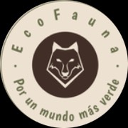 Kenneth (@ecofauna_ken) · atom.bio website