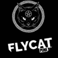 FLYCAT - Official Links & Social Media | atom.bio